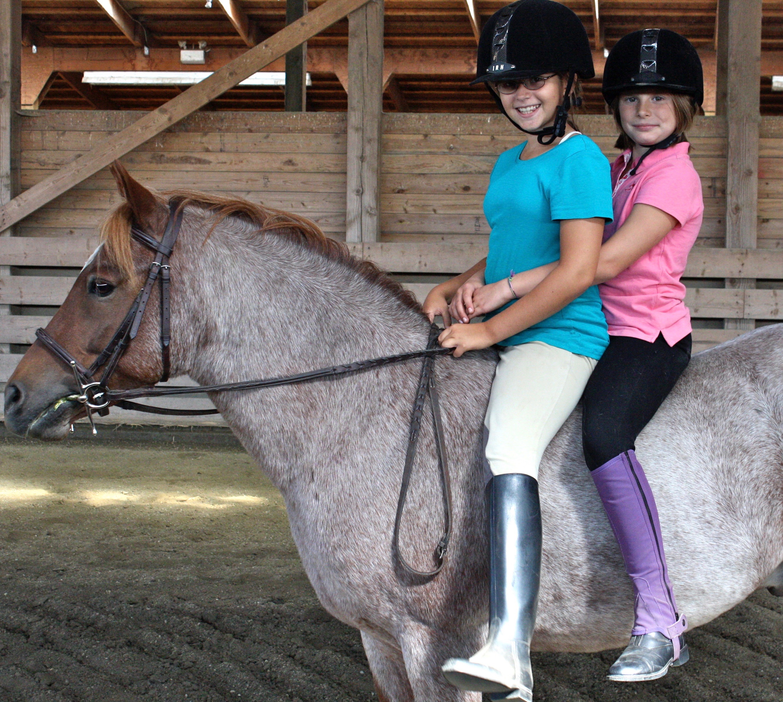 Summer Riding Camp, Pony Camp, Horse Camp | Twin Rivers Equestrian Centre Summer Riding Camp, Pony Camp, Horse Camp | Twin Rivers Equestrian Centre